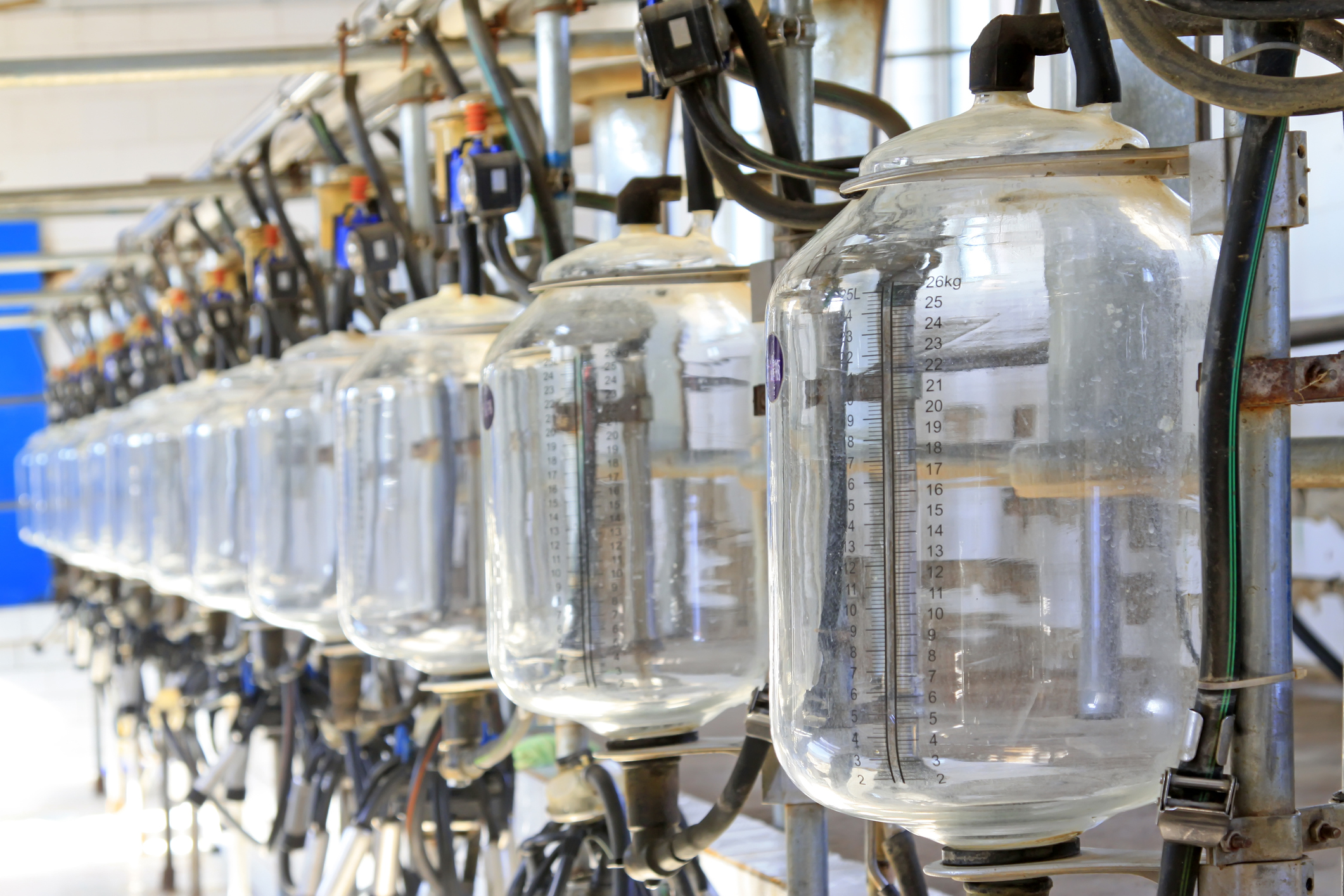 Dairy - Rubber Mouldings | DKL Rubber UK